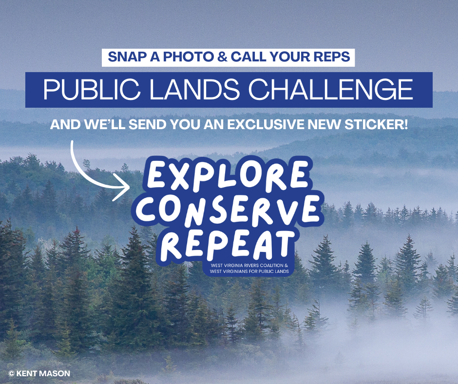 🌲 Take the Public Lands Challenge: Show your love for public lands and ...